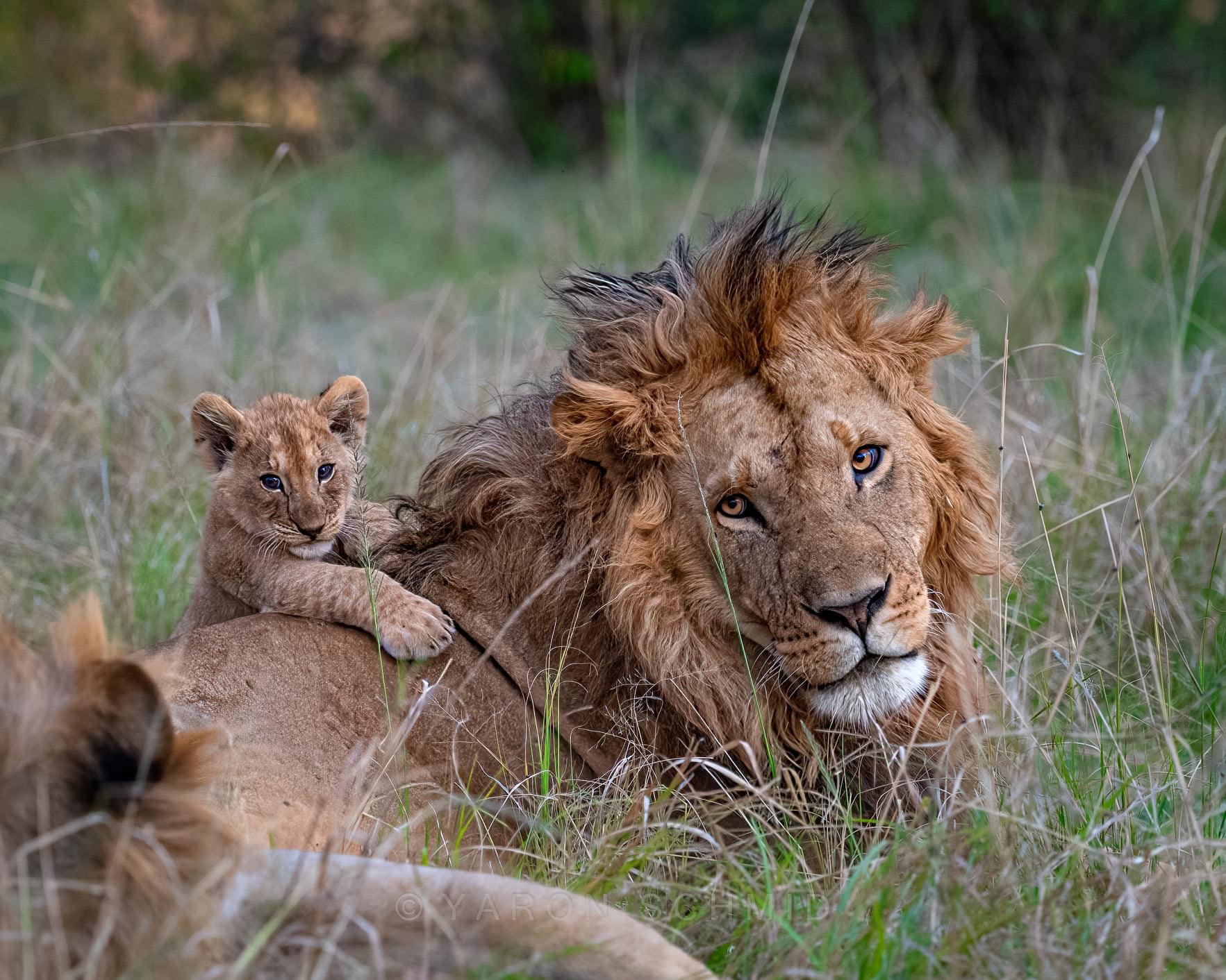 Mara - Scenic Serene Adventures